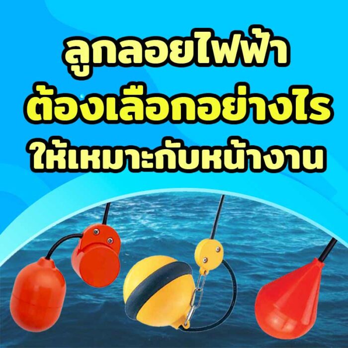 บทความ Archives - Toolsheep